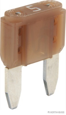 50295575 ΑΣΦΑΛΕΙΑ ΜΑΧΑΙΡΩΤΗ ΜΙΝΙ 5Α ΜΠΕΖ HERTH+BUSS ELPARTS - Fuse ...